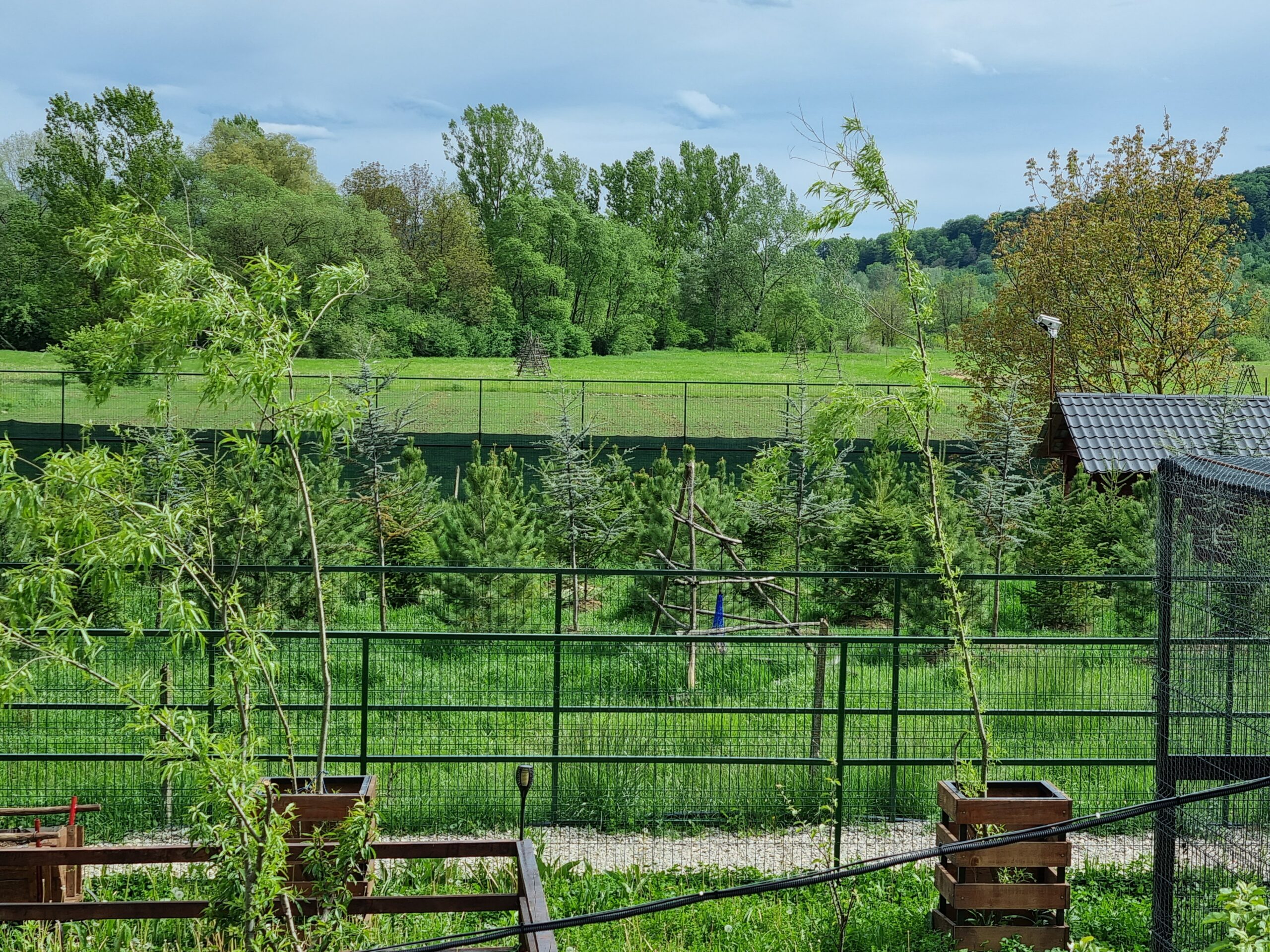 Sanctuarul Papi Land – Kola Kariola